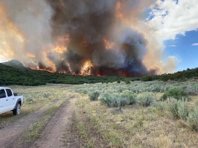 Pine Gulch Fire now 7th largest in Colorado history - Denver Gazette