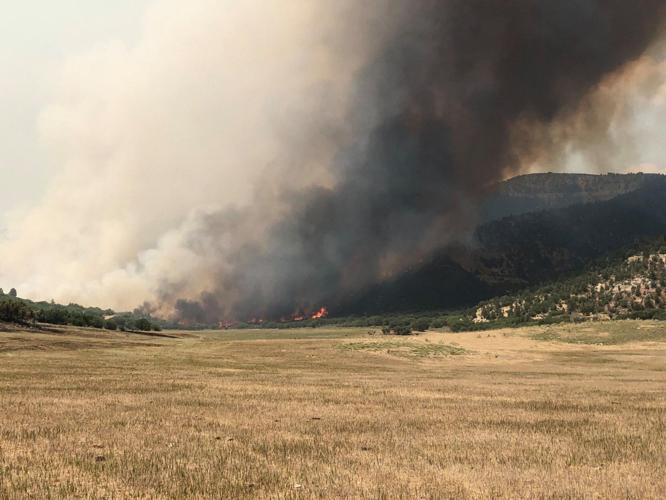 Pine Gulch Fire now 7th largest in Colorado history - Denver Gazette