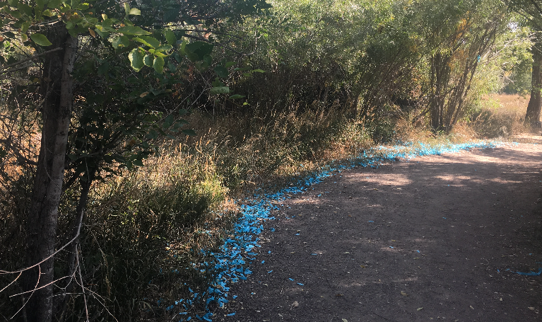Gender reveal party: "Littering is littering, regardless of your baby's ...