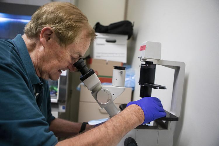 Veteran medical researcher in Colorado waits for a test on drug he ...
