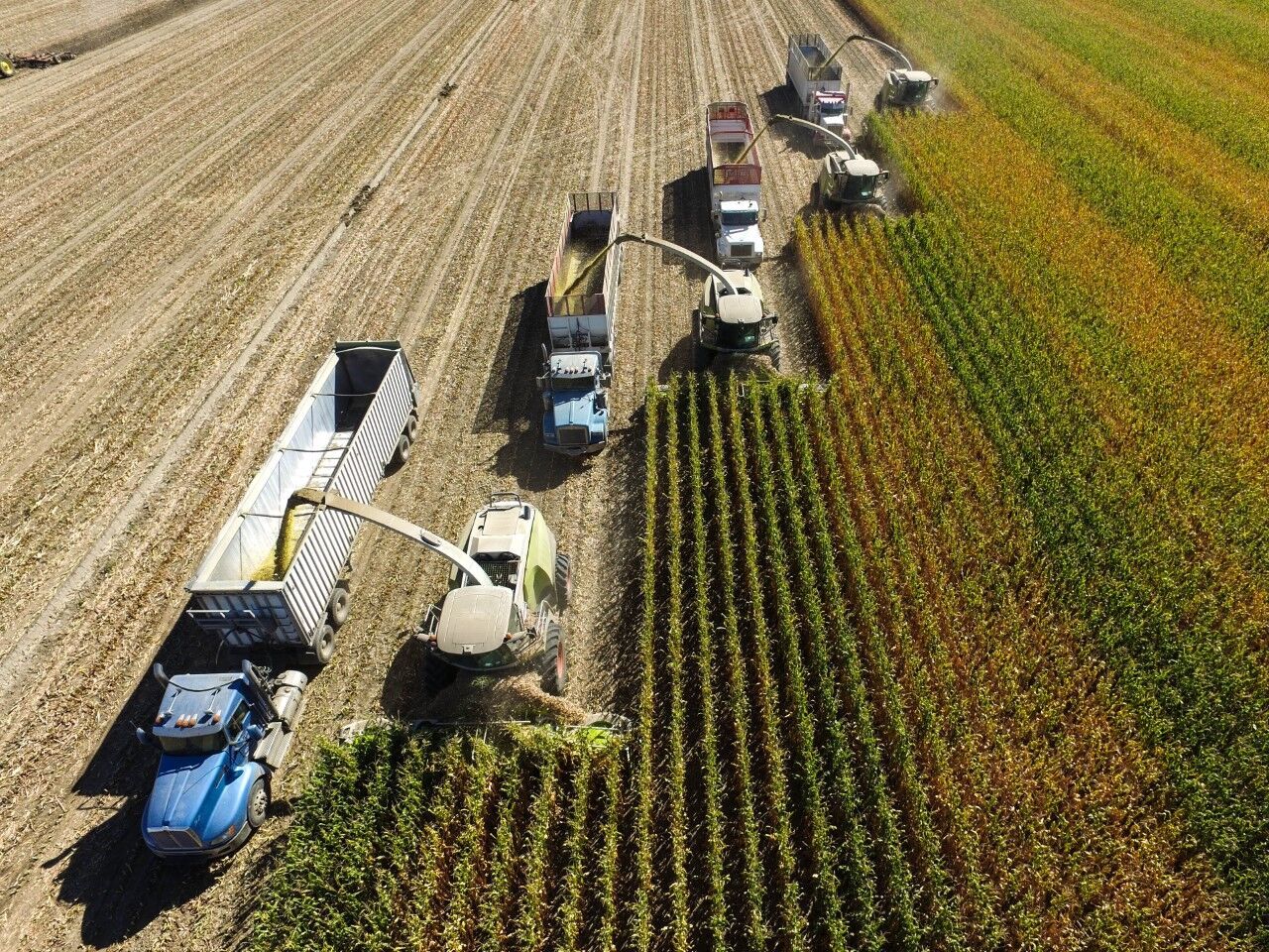 COLUMN: U.S. agriculture produces food more efficiently than anywhere ...