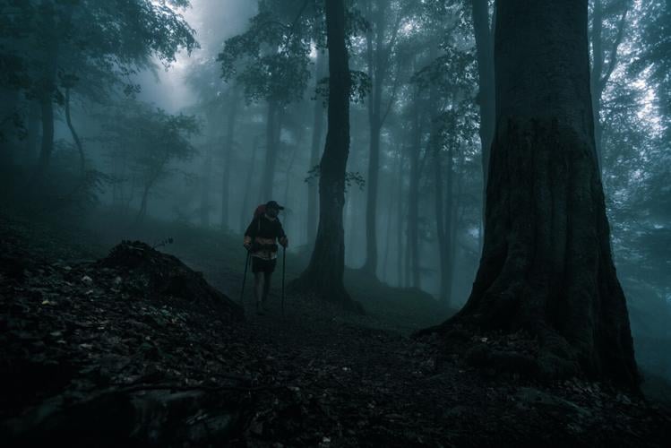 Mysteries of Colorado: cryptid creatures in the Rockies - Denver Gazette