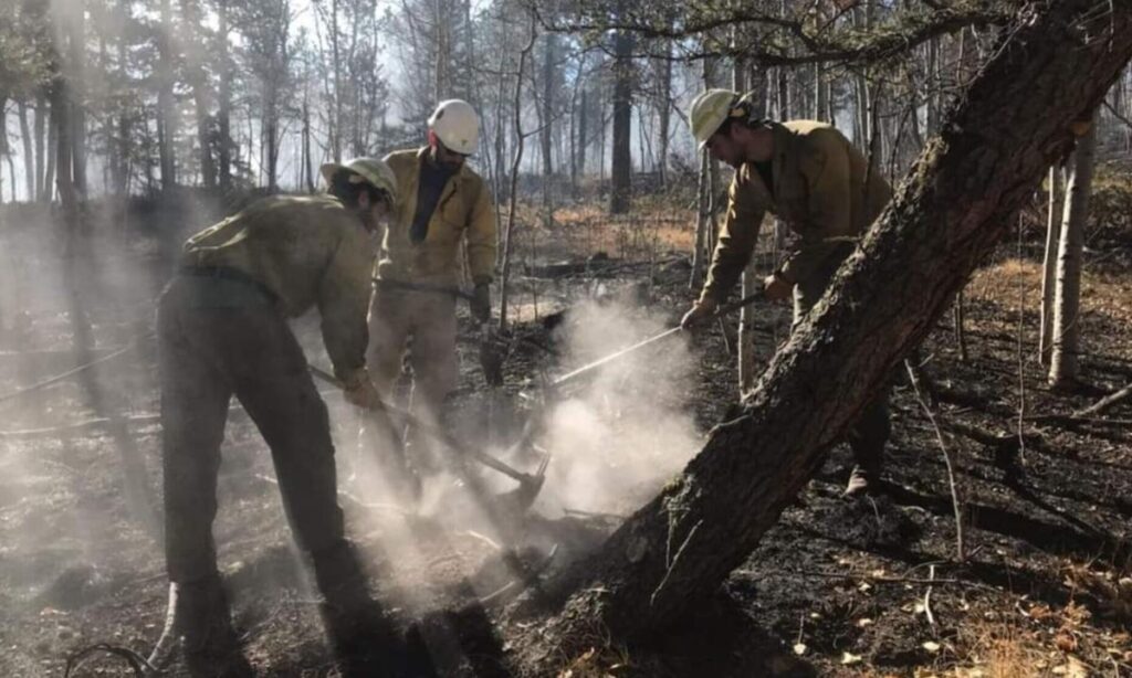 Forest Service announces it is hiring up to 50 temporary wildland ...