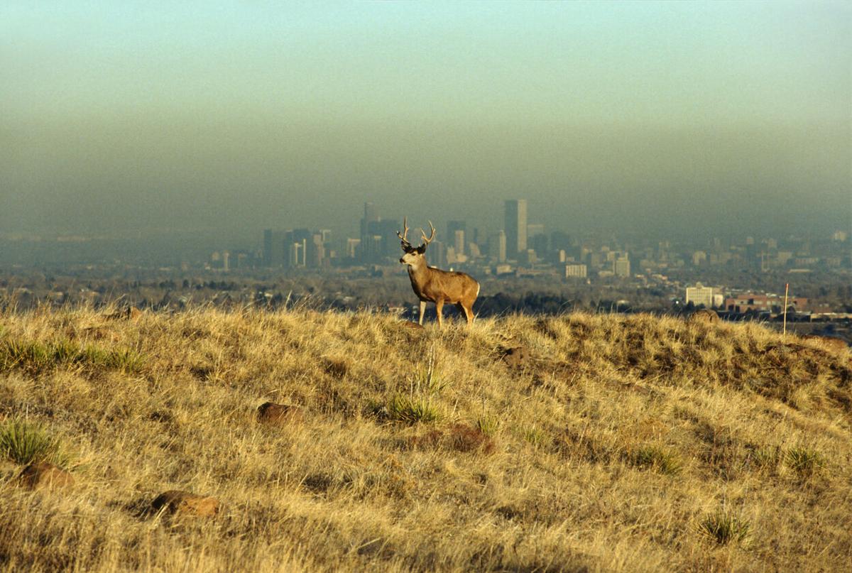 Colorado graded 'F' for cost of living as one of most expensive states ...