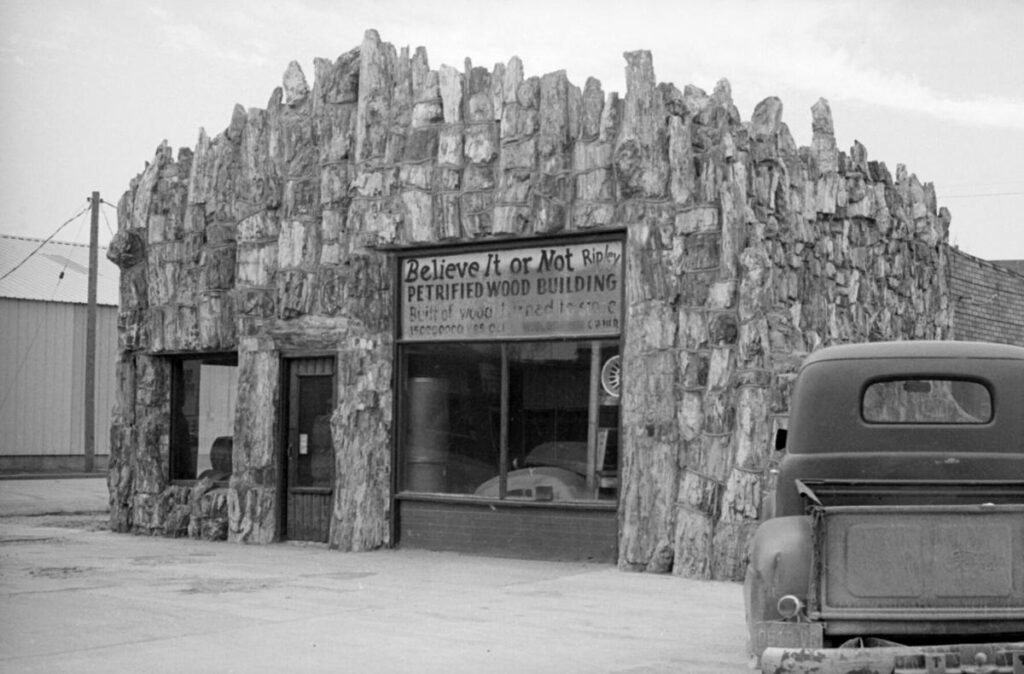 Petrified wood building in Colorado made with materials that are 175 ...