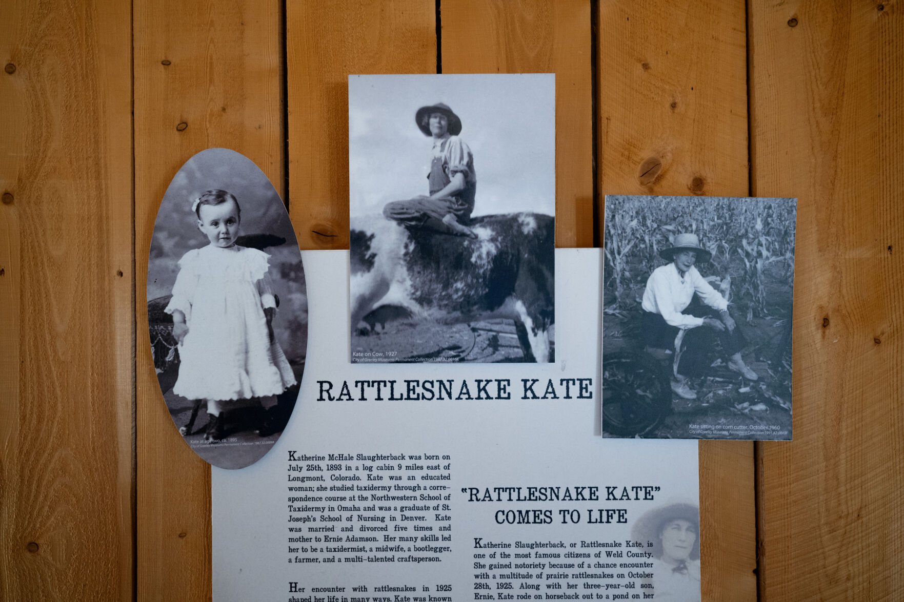Colorado legend: Nearly 100 years ago, the legend of Rattlesnake Kate ...