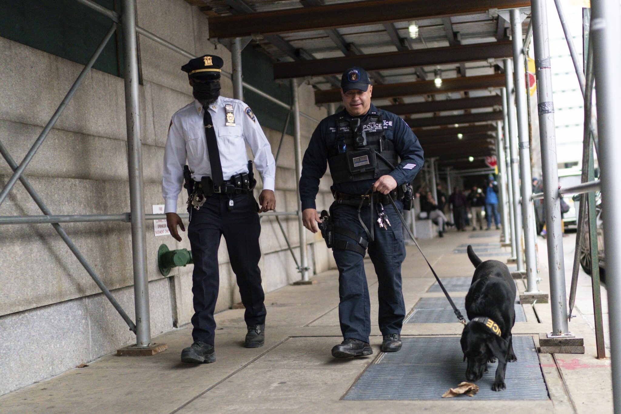 Denver Public Schools launches gun-sniffing canine program - Denver Gazette