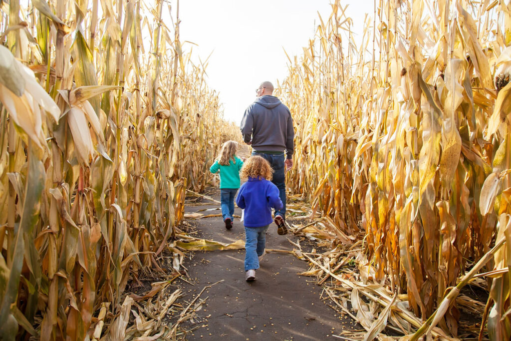 7 corn mazes to explore around Colorado this fall - Denver Gazette