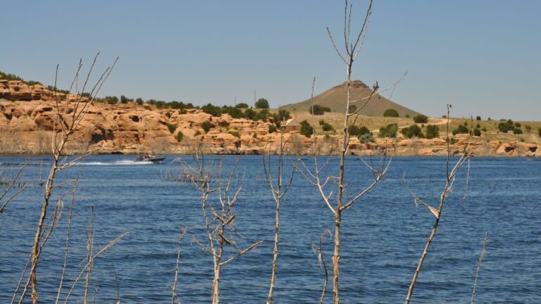 Emergency fish salvage underway at Colorado reservoir amid dry ...