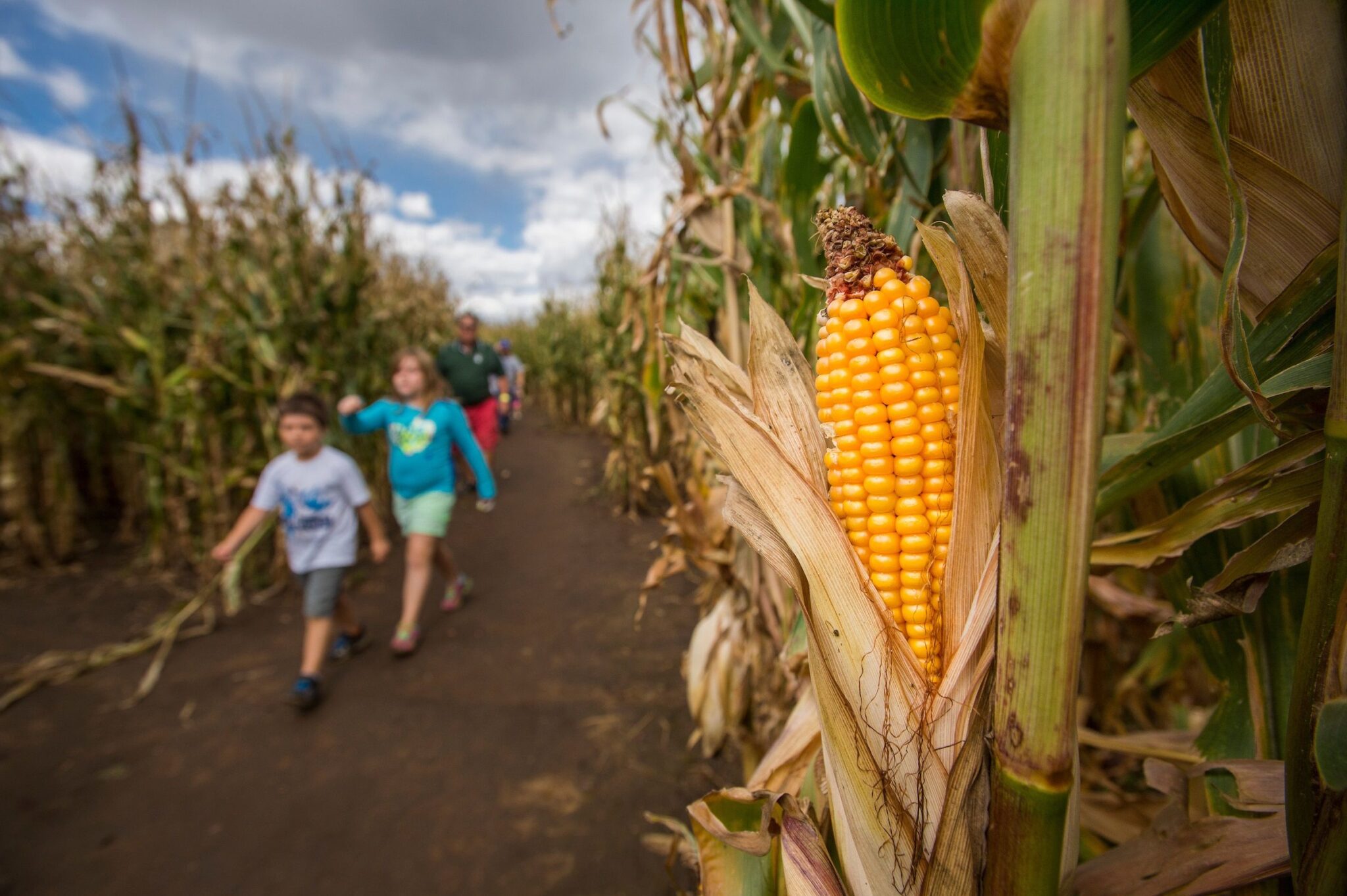 Pick your poison: Mix and match activities for the perfect fall day in ...