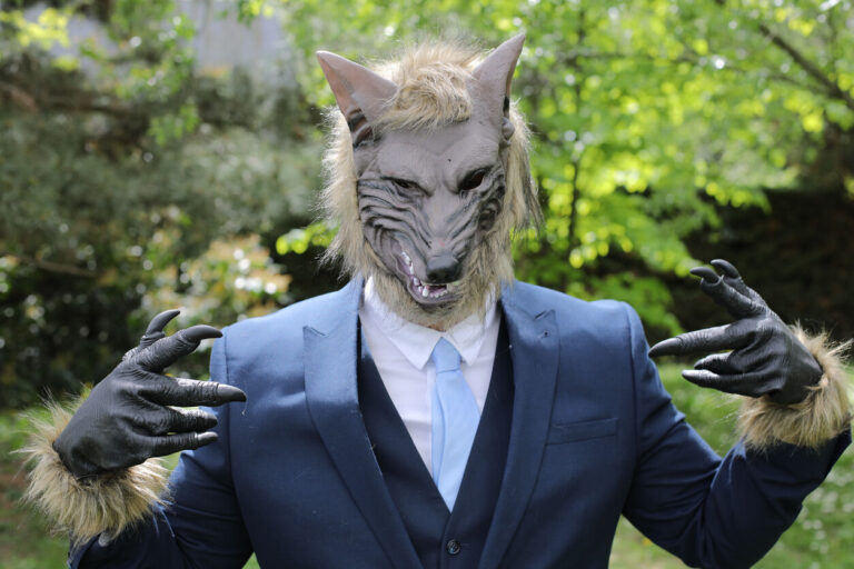 FACT CHECK: Was a man in a 'wolf furry' costume actually mauled by ...