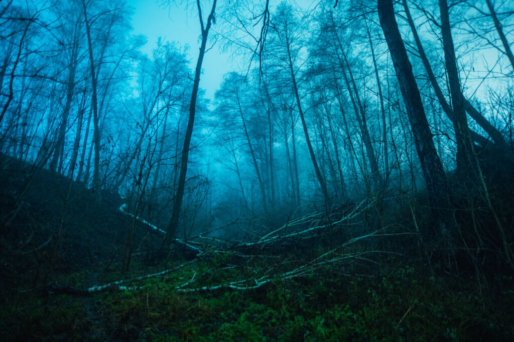 The haunting of Colorado's Black Forest - Denver Gazette