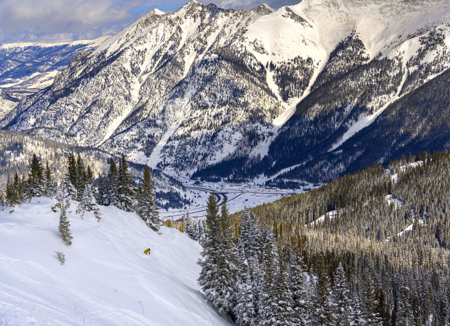 Denver Zoo president stepping down after seven years