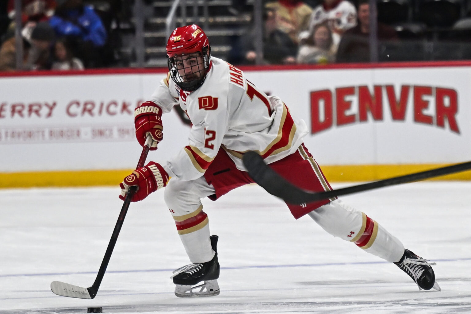 Adams County animal shelter sees 'unprecedented' number of animals ...