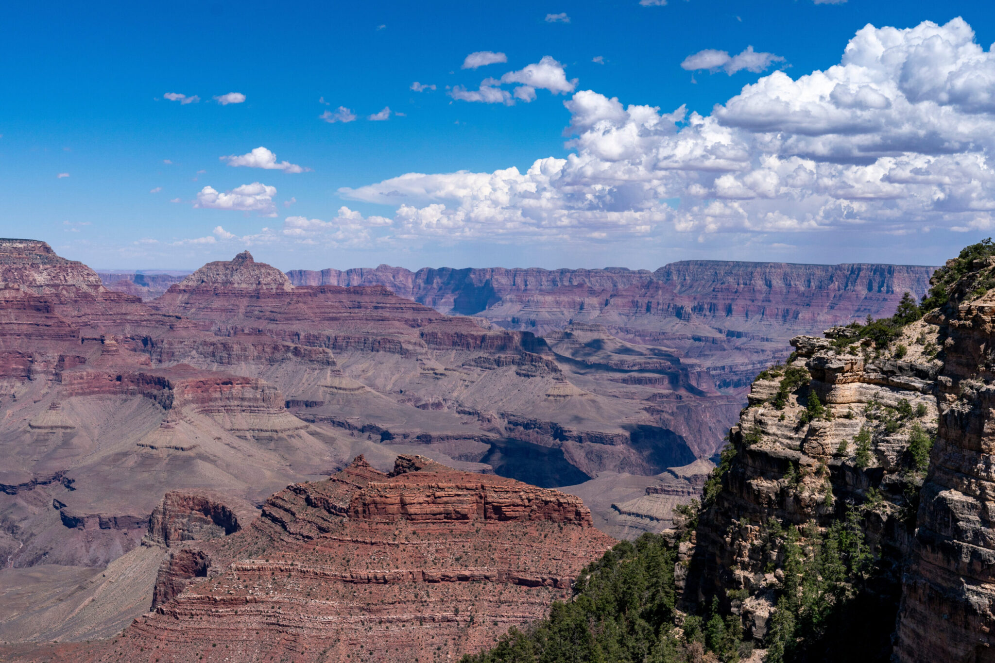 Grand Canyon cancels overnight stays at South Rim lodges because of ...