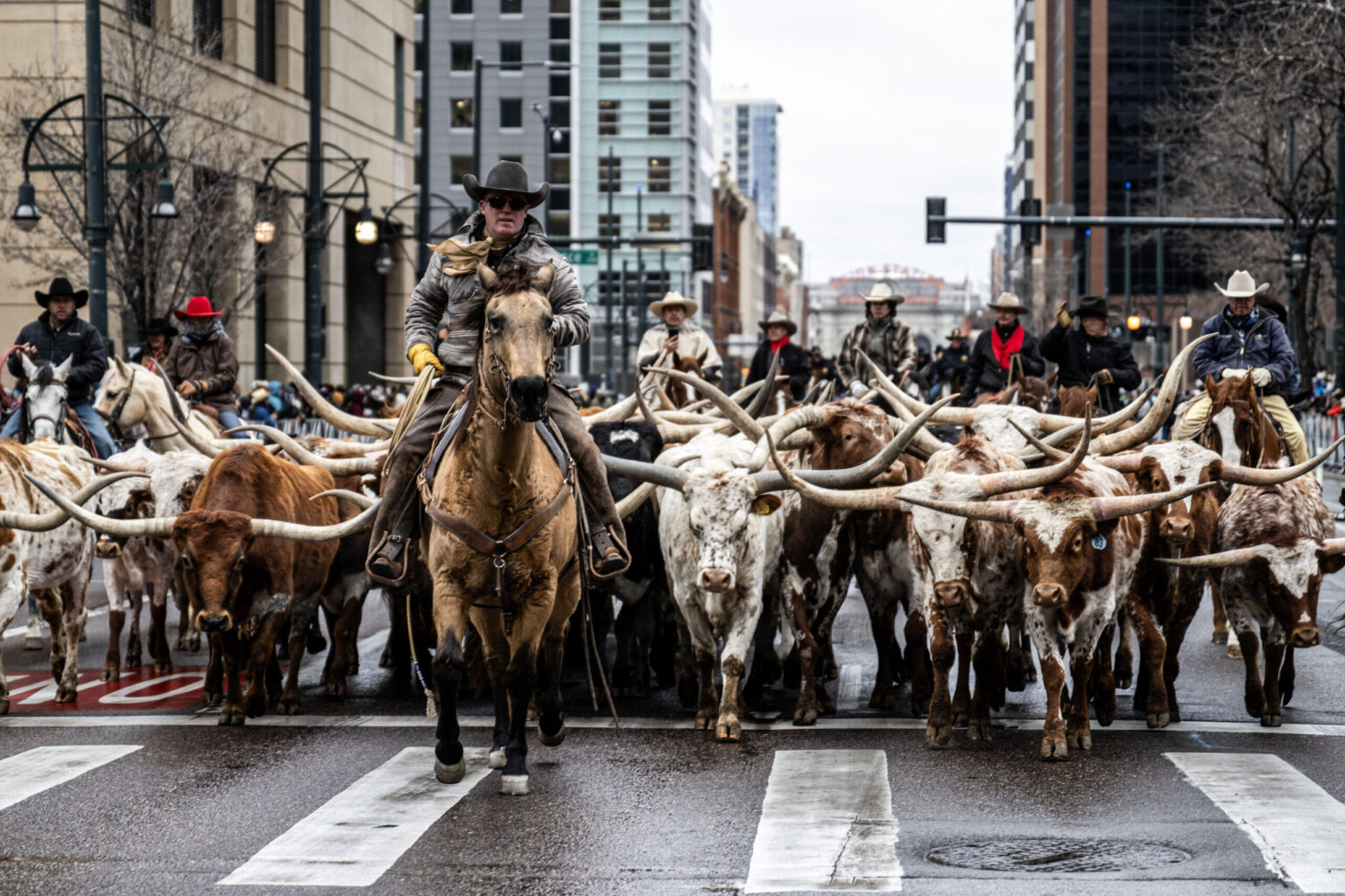 School shooting hero Kendrick Castillo honored with memorial