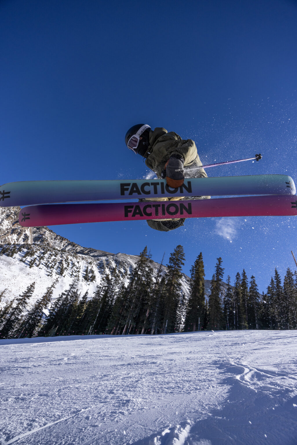 Adams County animal shelter sees 'unprecedented' number of animals ...