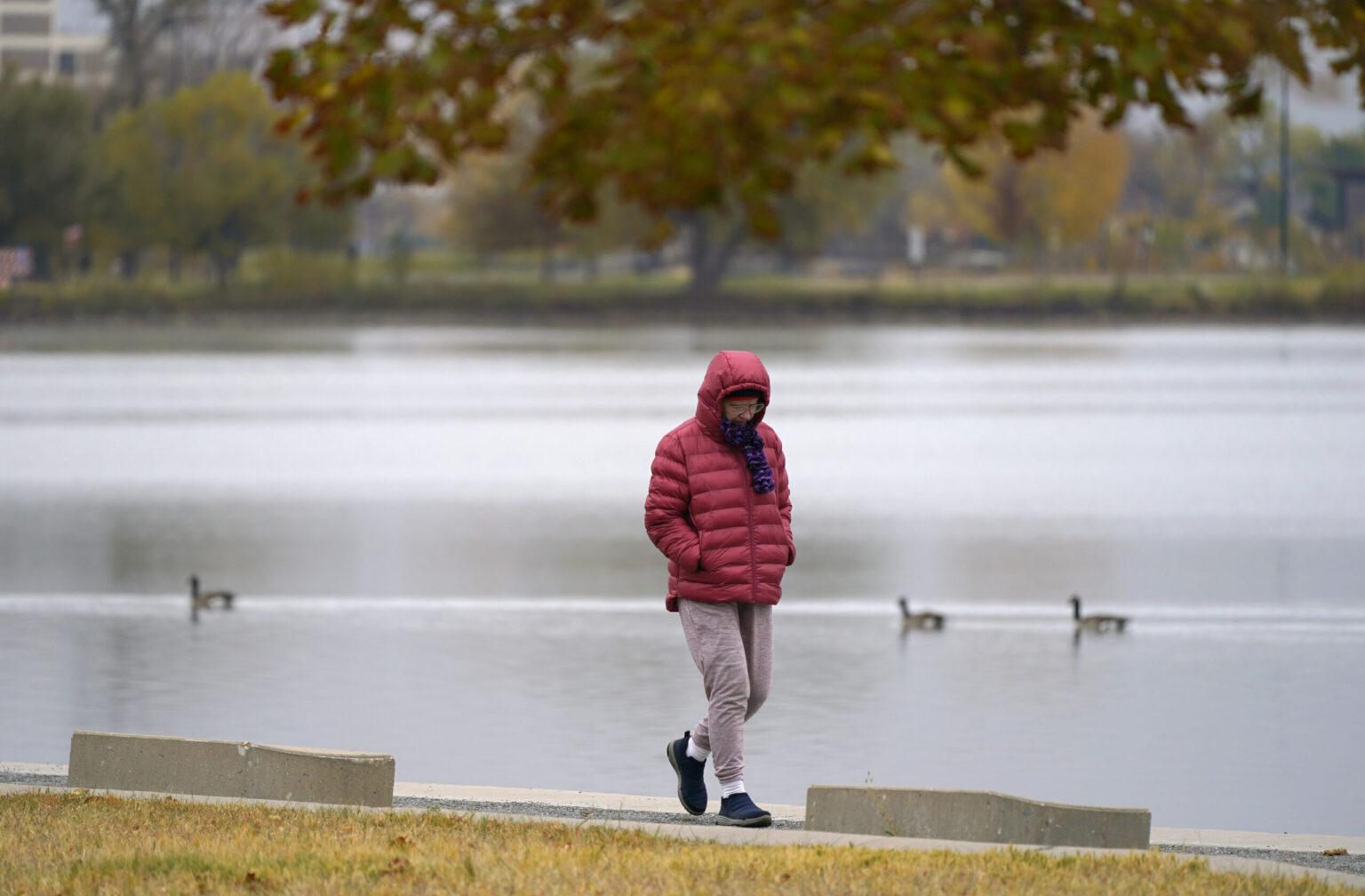 Denver’s Elitch Gardens theme park holiday event has new name