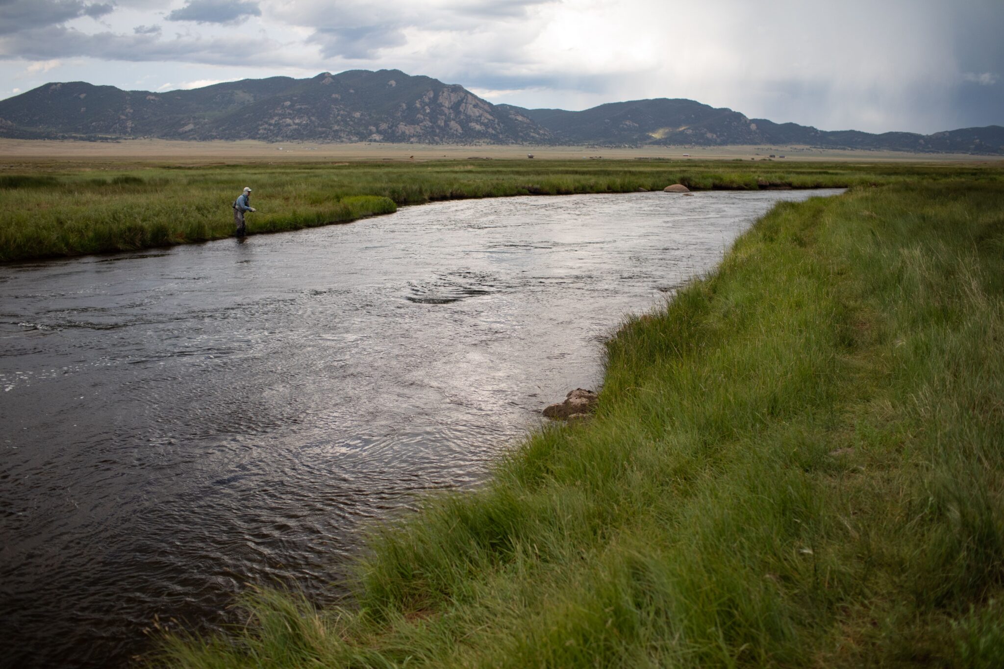 Renee Good: What we know about the Colorado native killed in ...