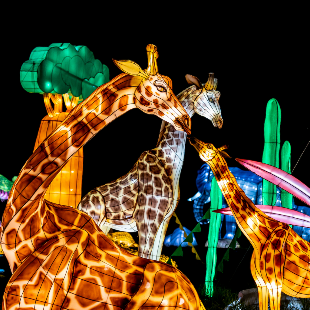 Denver Zoo opens nighttime event 'Glowing Wild' - Denver Gazette