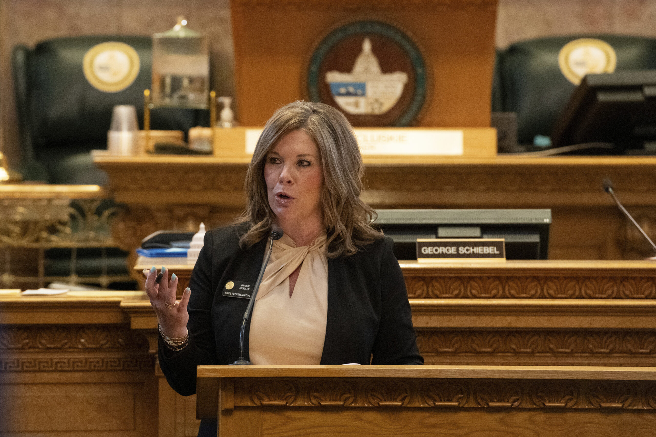 Colorado House minority leader reprimands Rep. Brandi Bradley for ...