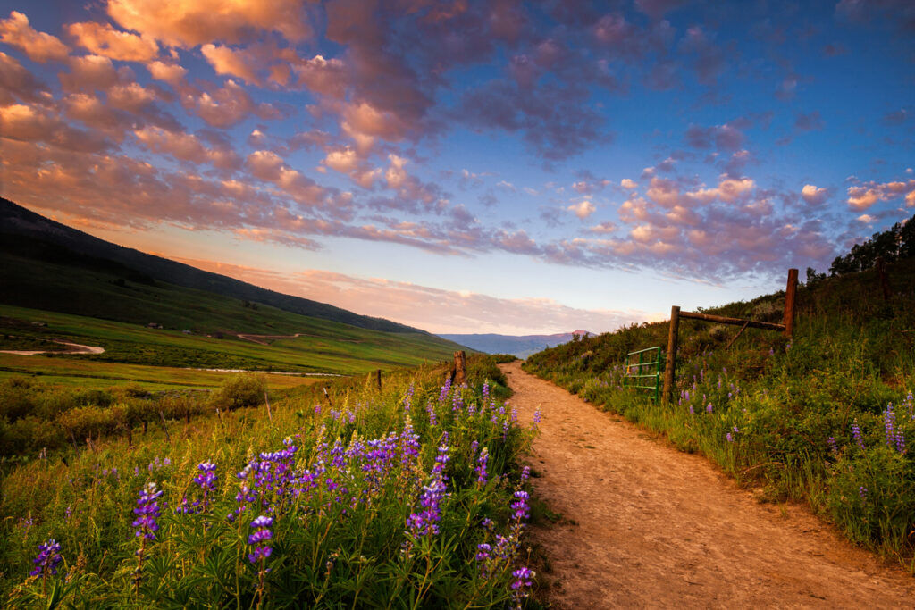 Guide to visiting Crested Butte: A quintessential mountain town in ...