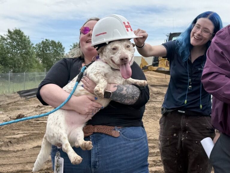 Aurora breaks ground on new animal shelter